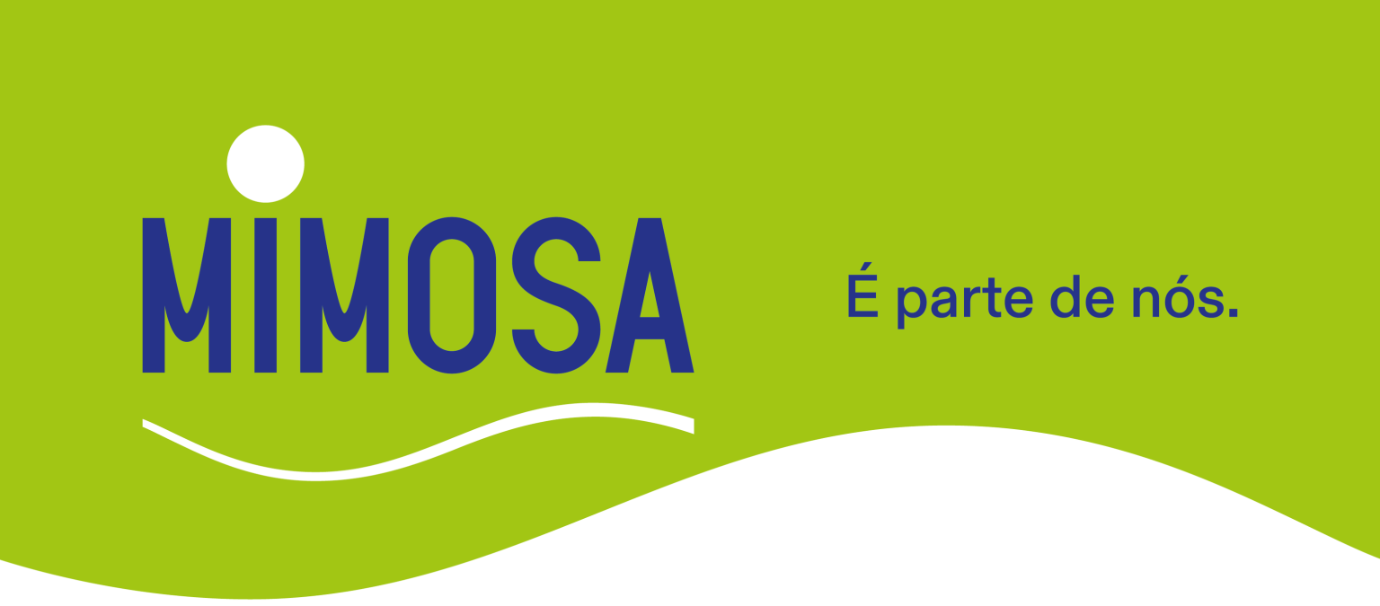 Mimosa completa 50 anos com nova imagem - Veja Portugal